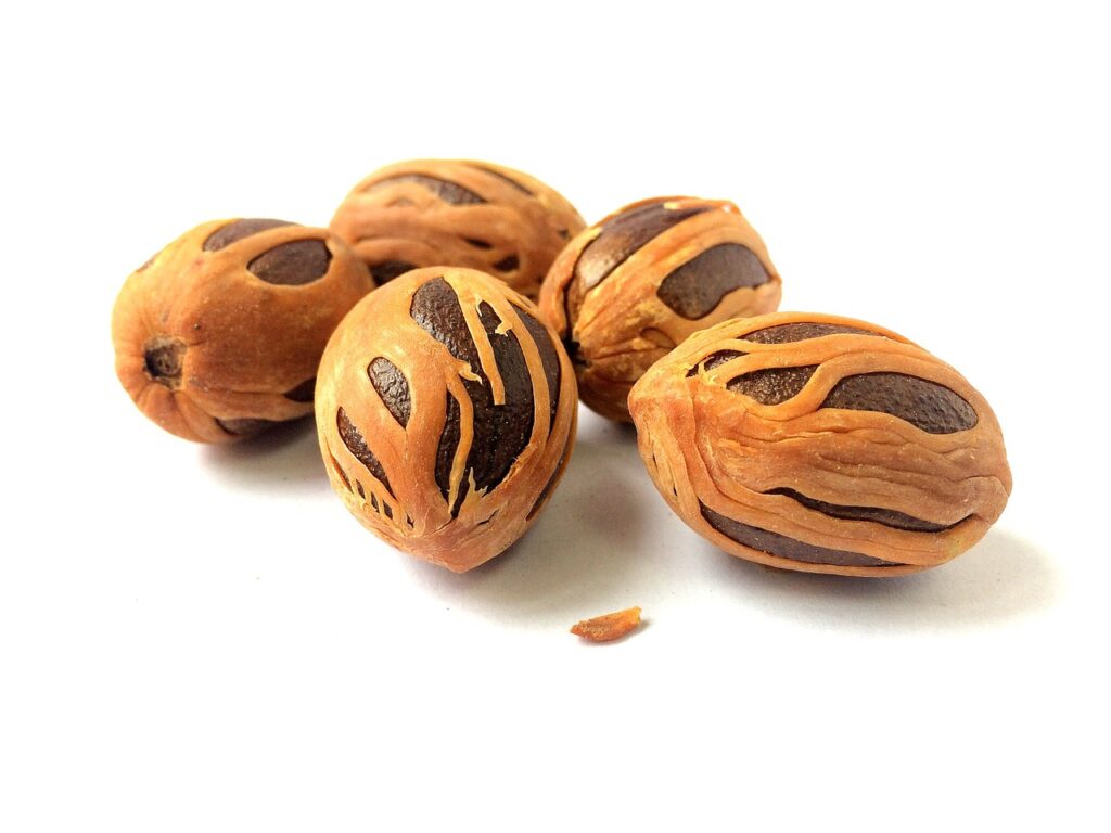 NUTMEG WHOLE (JATHIKKA) – Kerala Casa Official